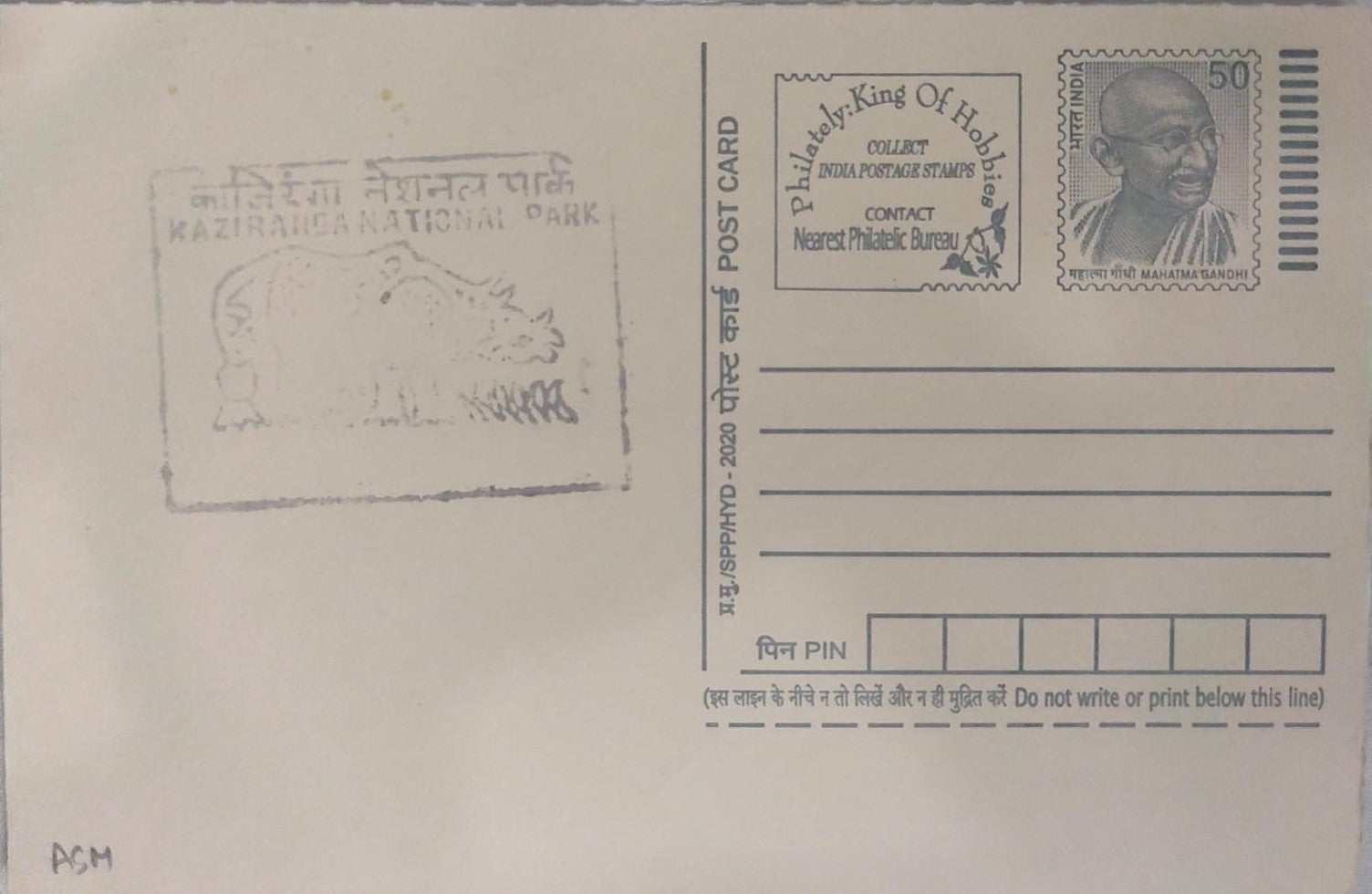 Kaziranga one horned rhino beautiful PPC – Bharat Exotics